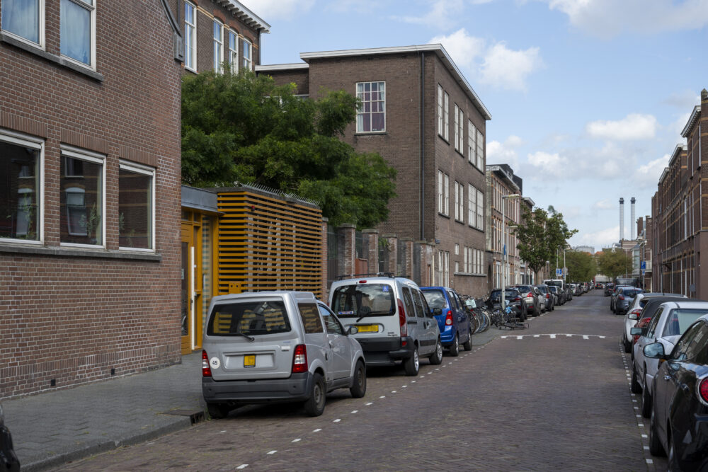 Levien – Anton Constandse